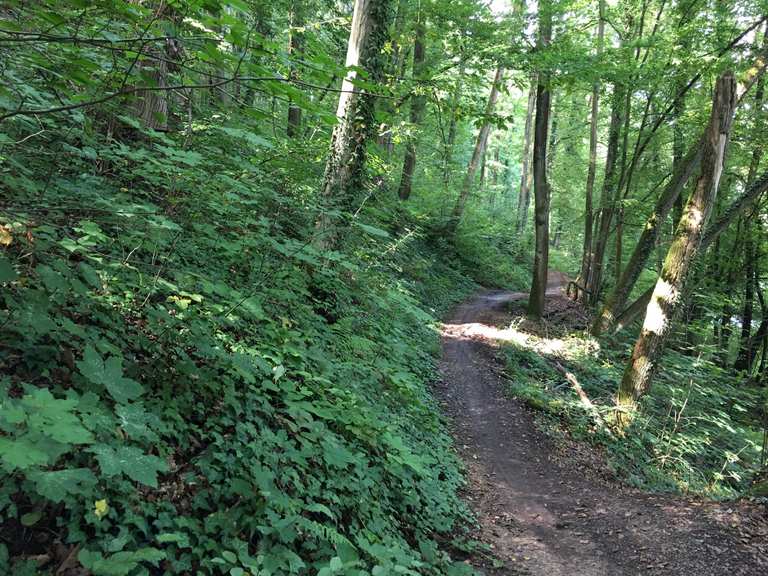 Enger Weg am Abgrund: Mountainbike-Touren | komoot