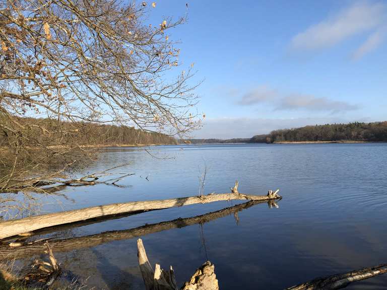Sacrower See (Südliches Ende) Routes for Walking and Hiking | Komoot