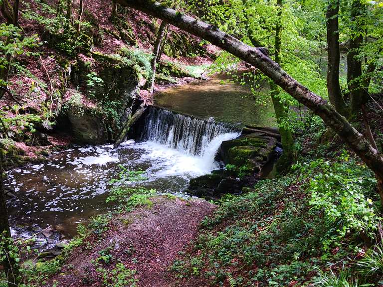 Wasserfall Baybachtal Routes for Walking and Hiking | Komoot