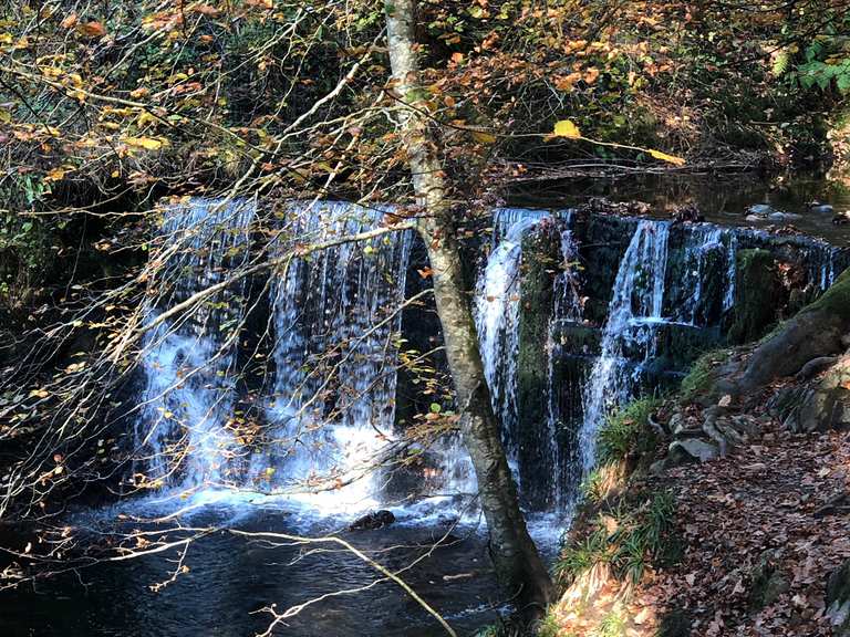 Wansfell Pike – Windermere view loop from Waterhead | hike | Komoot