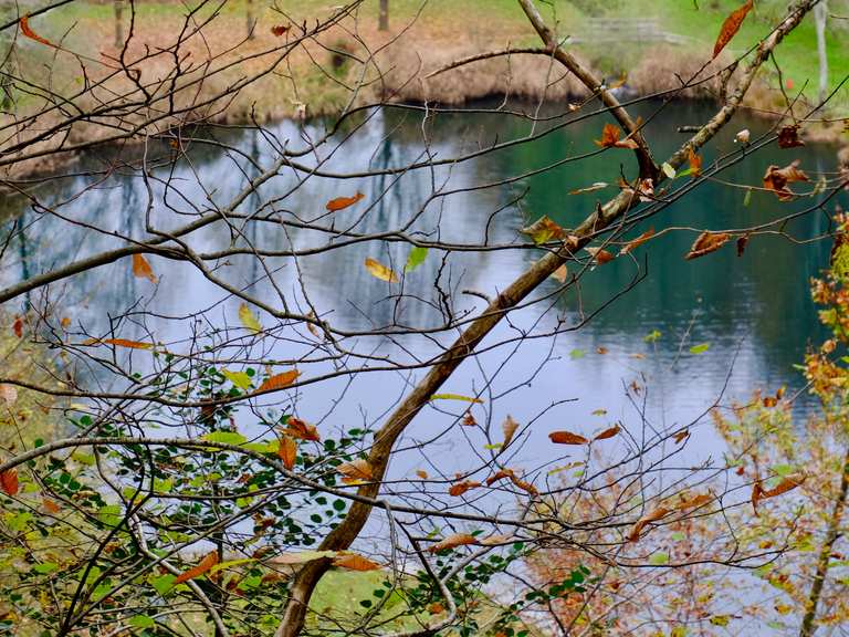 Laghetto di Astano: Wanderungen und Rundwege | komoot