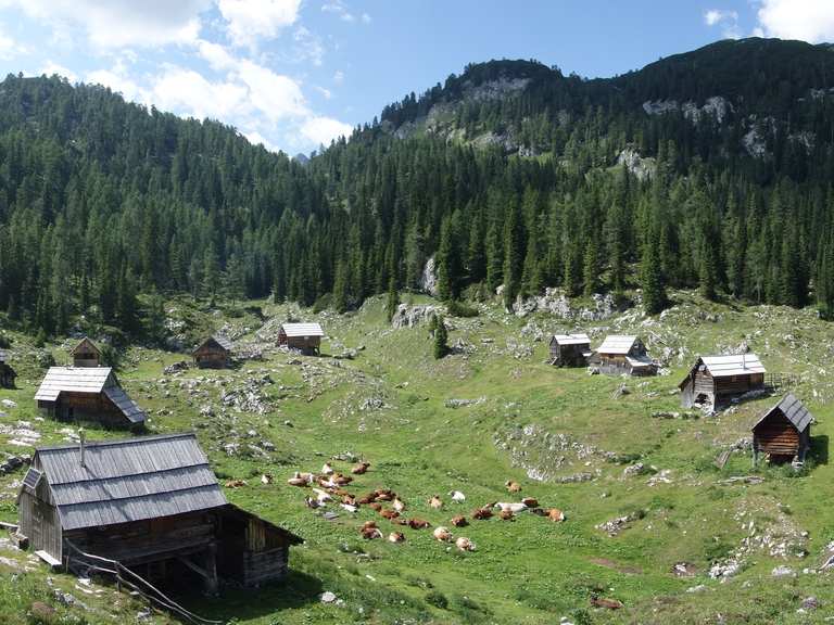 Planina pri Jezeru – Planina Dedno polje Loop from Planina Blato ...
