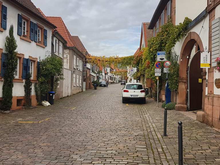Rhodt unter der Rietburg : Radtouren und Radwege | komoot