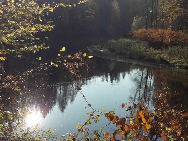 Zwickauer Mulde: Wanderungen und Rundwege | komoot