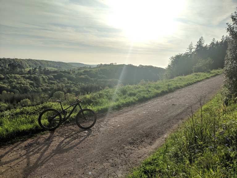 Rowberrow Warren – Mendip magic Loop from Priddy | mountain bike ride ...