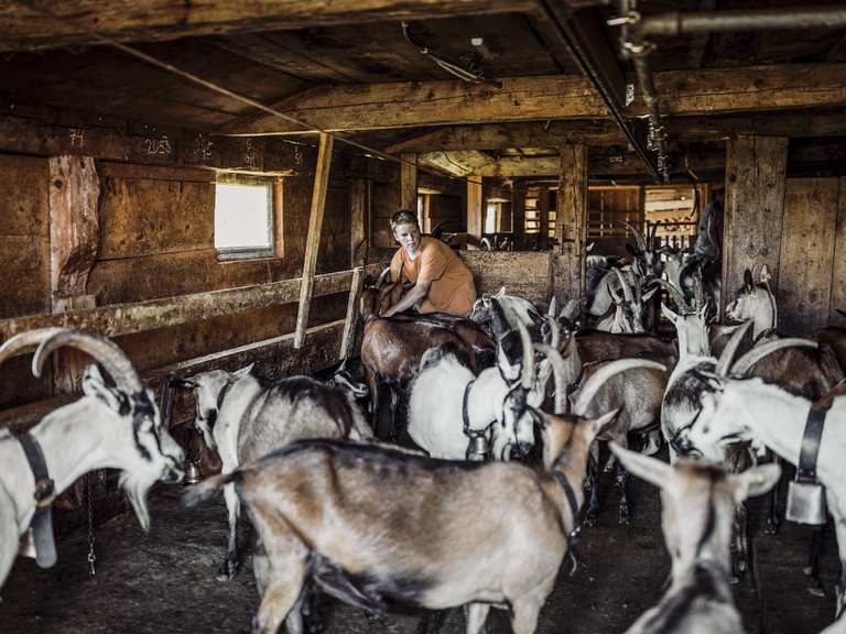 Alp Bire Routes for Walking and Hiking | Komoot