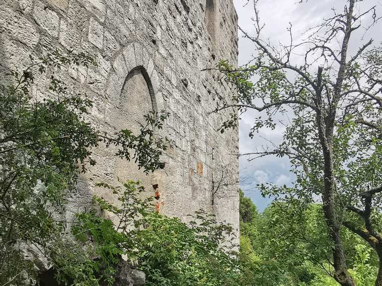 Burgruine Helfenberg: Wanderungen und Rundwege | komoot