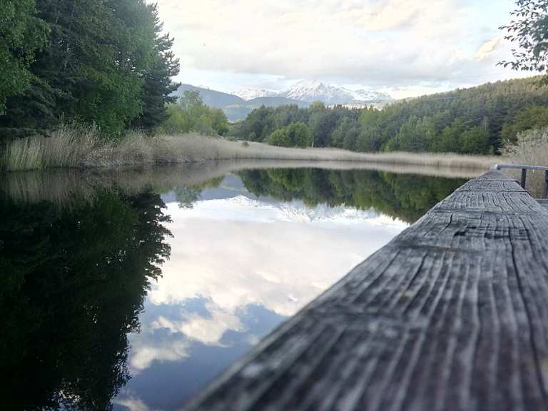 Naturerlebnisweg Raier Moos: Mountainbike-Touren und -Trails | komoot