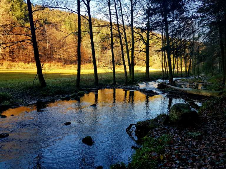 Eyach Wasserwegle: Wanderungen und Rundwege | komoot
