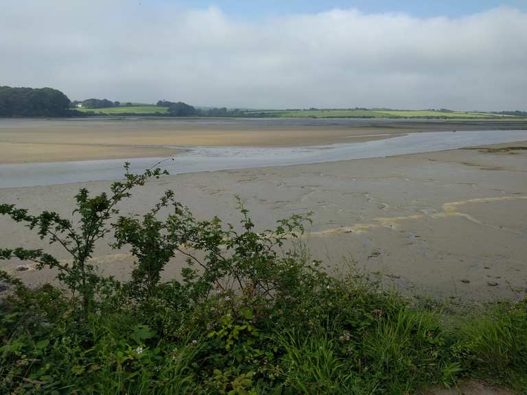 Camel Trail - Cornwall Cycle Routes and Map | Komoot
