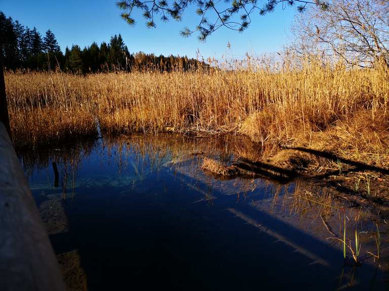 Blaue Gumpe (Quelle der Osterseen): Wanderungen und Rundwege | komoot