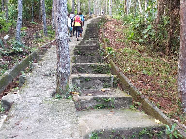 Bukit Shahbandar: Wanderungen und Rundwege | komoot