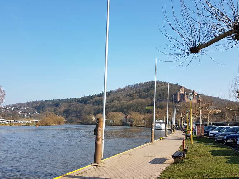 Mainschleife bei Urphar – das Himmelreich vor Augen : Radtouren und ...