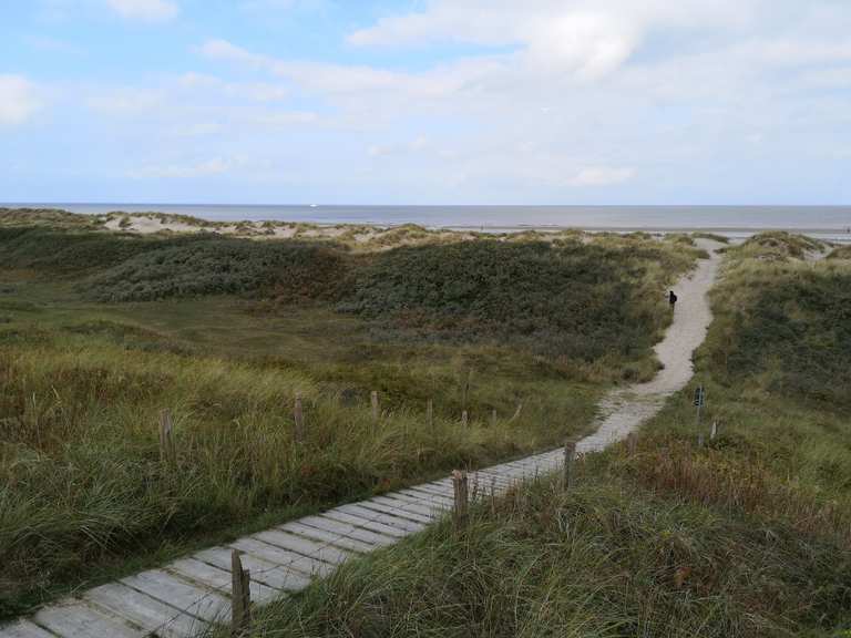 Platforma widokowa z panoramicznym widokiem na wydmy Morza Północnego ...