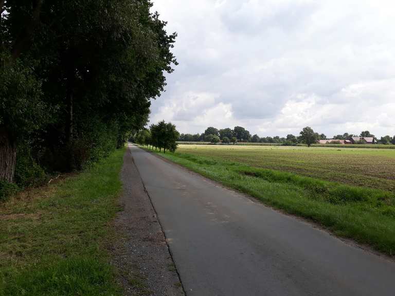 Radweg auf der alten Bahntrasse: Radtouren und Radwege | komoot