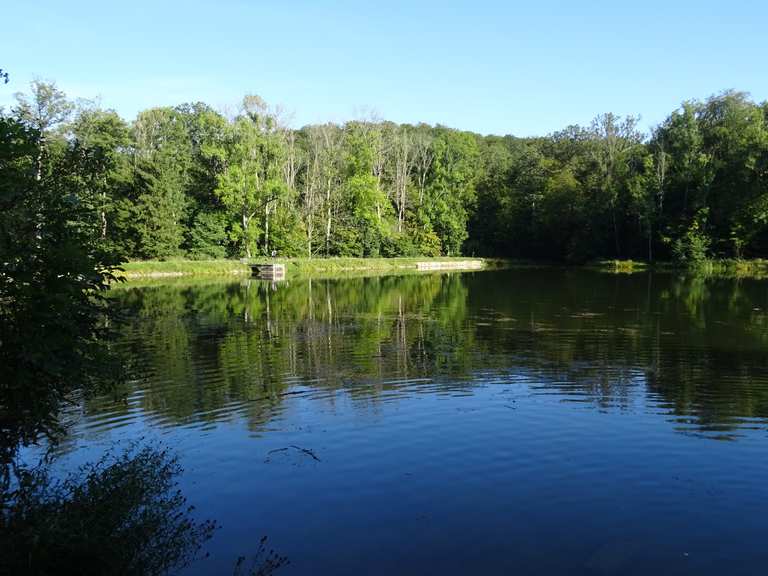 Katzenbachsee - Cycle Routes and Map | Komoot
