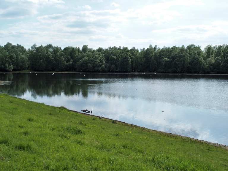 Rheindamm - Cycle Routes and Map | Komoot