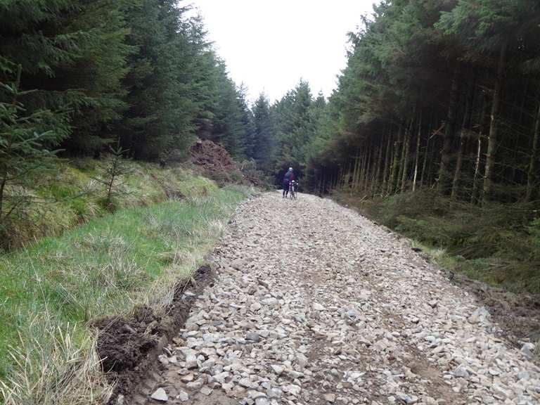 Kielder Forest - amazing gravel section Cycle Routes and Map | Komoot
