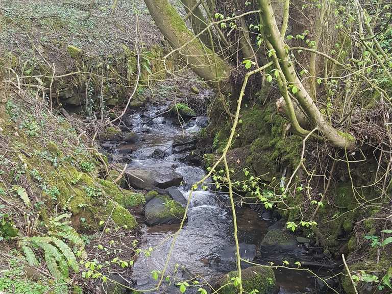 The Cloud – Bosley Cloud Toposcope loop from Timbersbrook | hike | Komoot
