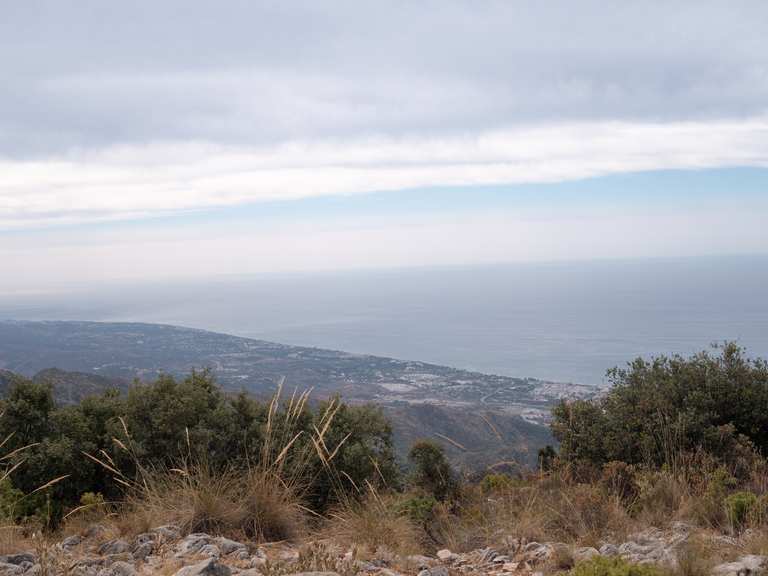 Pico La Concha – circular desde Istán | Wanderung | Komoot