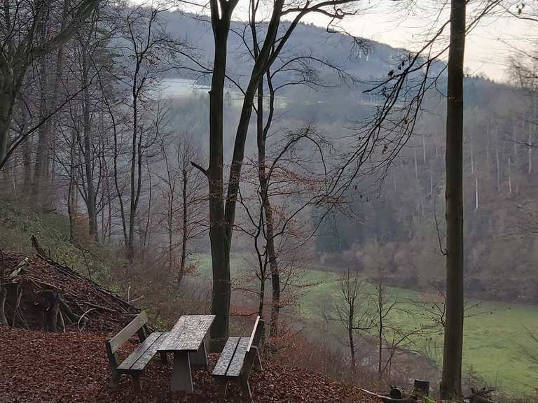 Bank mit Aussicht: Wanderungen und Rundwege | komoot