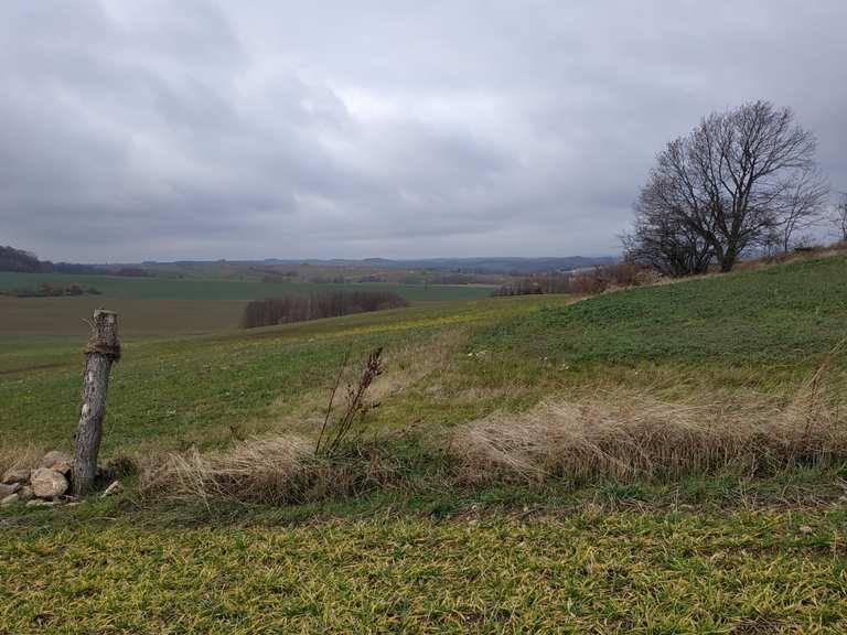 Galgenberg: Wanderungen und Rundwege | komoot