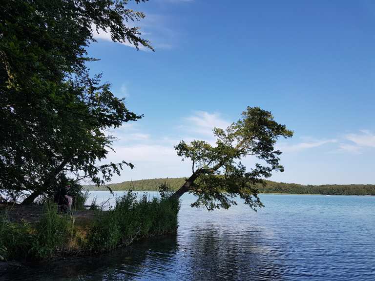 Brandenburg - Großer Stechlinsee : Radtouren und Radwege | komoot