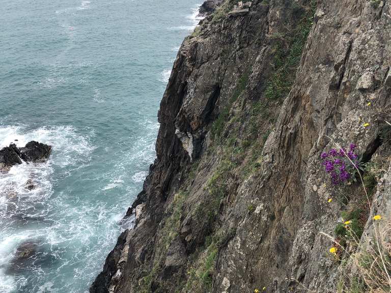 Sentier côtier de la plage de l'Ouille à Collioure - Itinéraires de ...