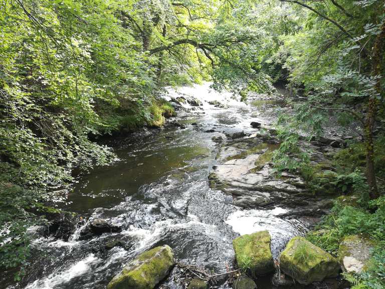 Cusher River - Routes for Walking and Hiking | Komoot