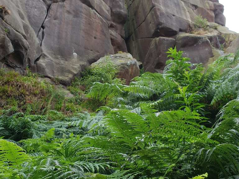 Black Rocks Routes for Walking and Hiking | Komoot