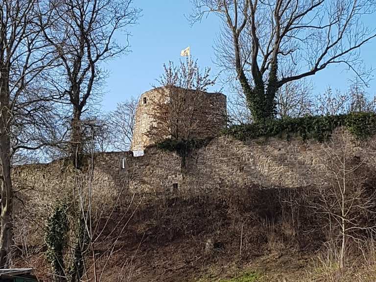 Burg Wilhelmstein: Mountainbike-Touren und -Trails | komoot