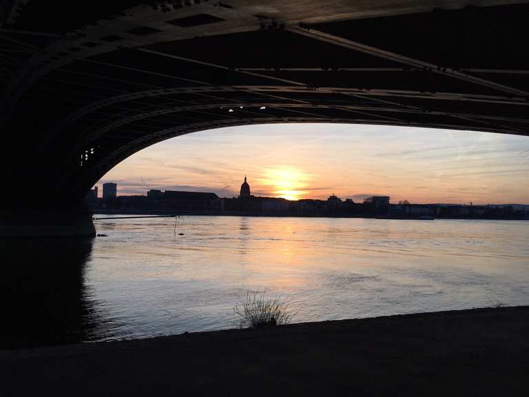 Neues Rheinufer mit Blick auf Mainz: Radtouren und Radwege | komoot
