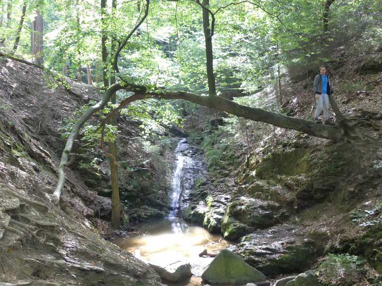 Cascade du Ninglinspo Routes for Walking and Hiking | Komoot