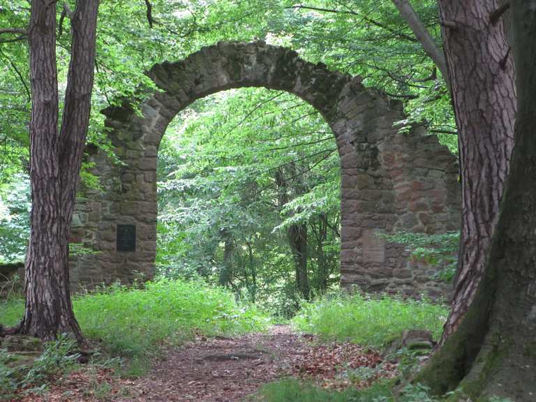 Ruine Blumenstein Routes for Walking and Hiking | Komoot