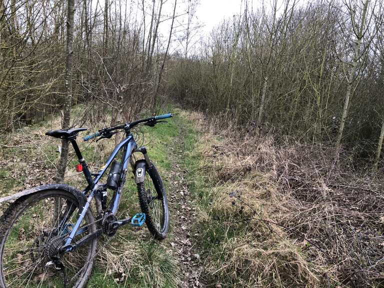 Loscoe Dam: Wanderungen und Rundwege | komoot