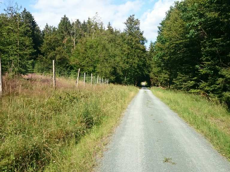 Radweg R6: Rod an der Weil nach Bad Camberg : Radtouren und Radwege ...