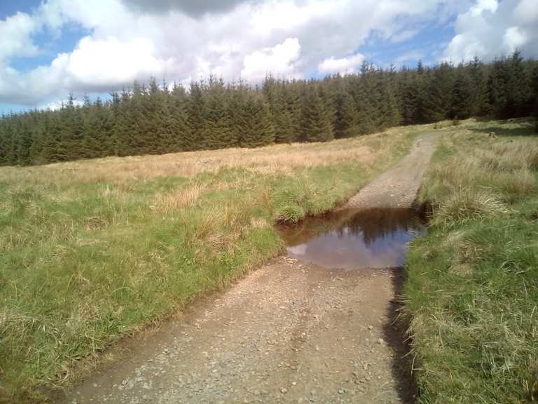 Kielder Forest Gravel Trail Cycle Routes and Map | Komoot