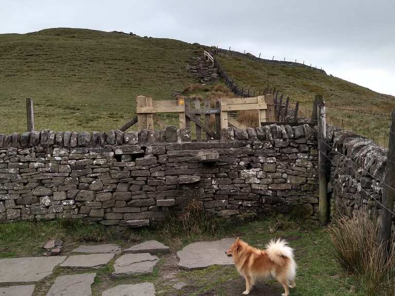 Shutlingsloe Routes for Walking and Hiking | Komoot