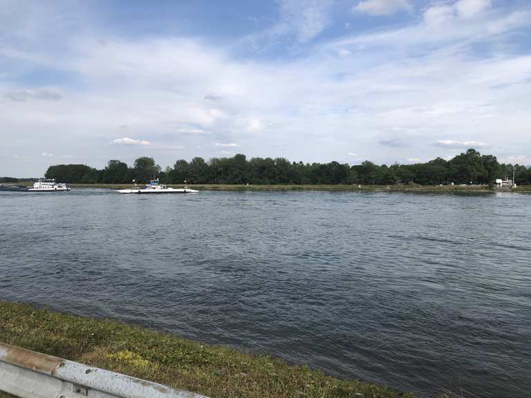 Rheinfähre Greffern - Road Cycle Routes and Map | Komoot