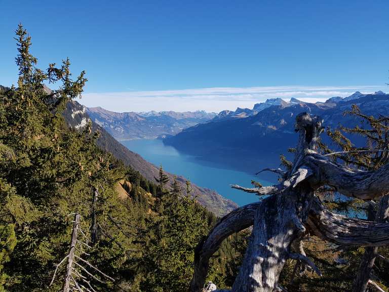 Wannichnubel Routes for Walking and Hiking | Komoot
