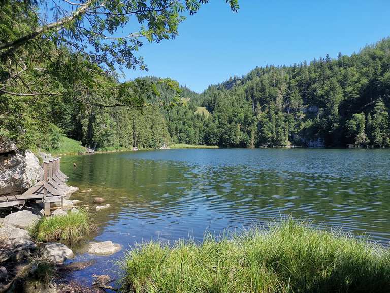 Taubensee: Wanderungen und Rundwege | komoot