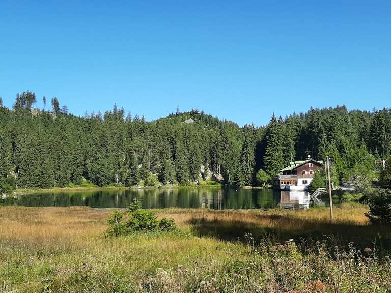 Frauensee: Wanderungen und Rundwege | komoot