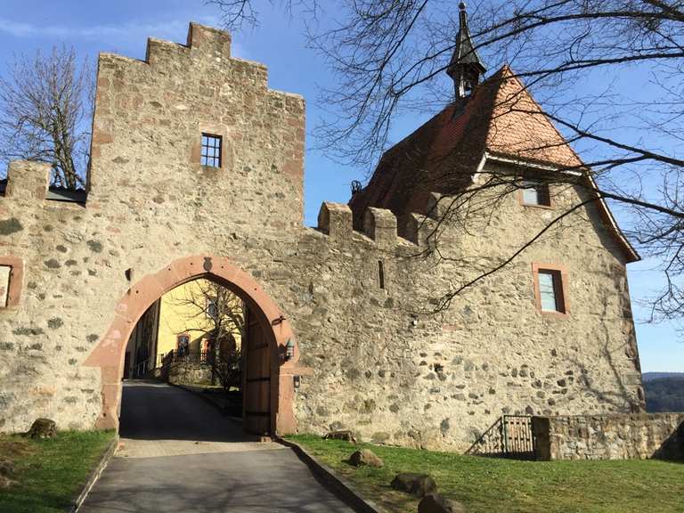 Schloss Reichenberg: Wanderungen und Rundwege | komoot