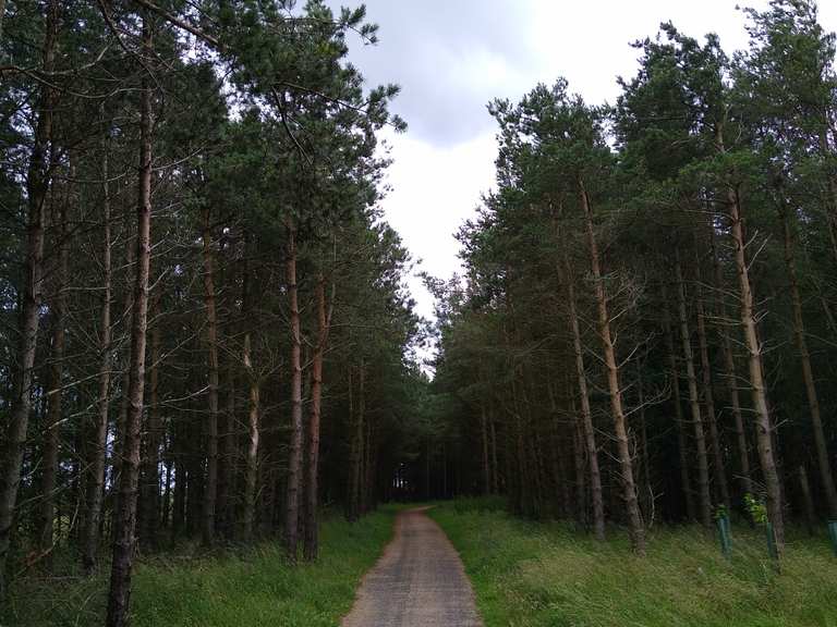 Waskerley Way Cycle Routes and Map | Komoot