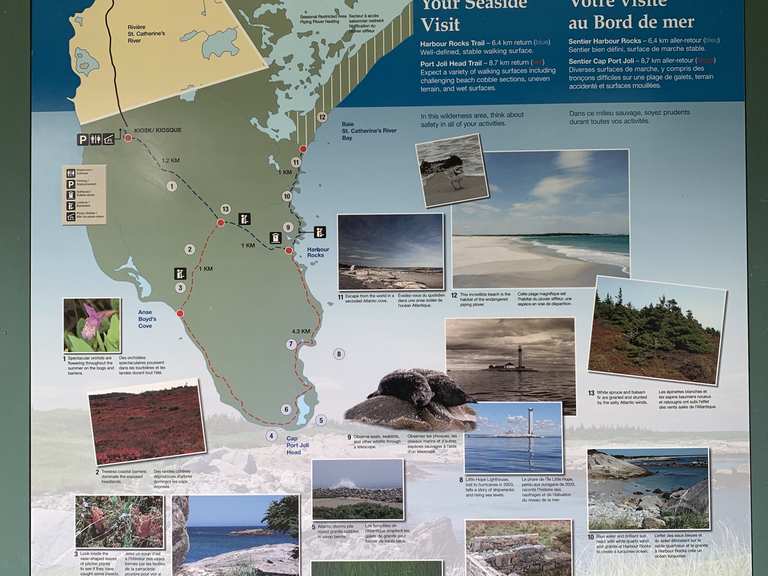 Harbour Rocks Trail – Kejimkujik National Park Seaside | hike | Komoot