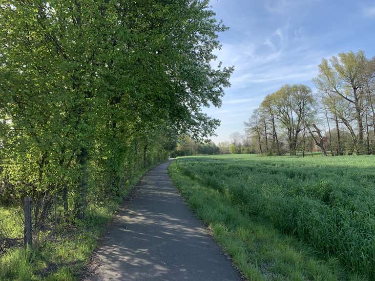 Radweg auf der alten Bahntrasse: Radtouren und Radwege | komoot