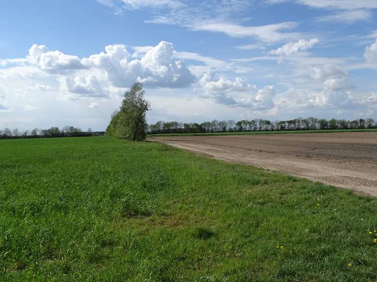 Sandweg: Radtouren und Radwege | komoot