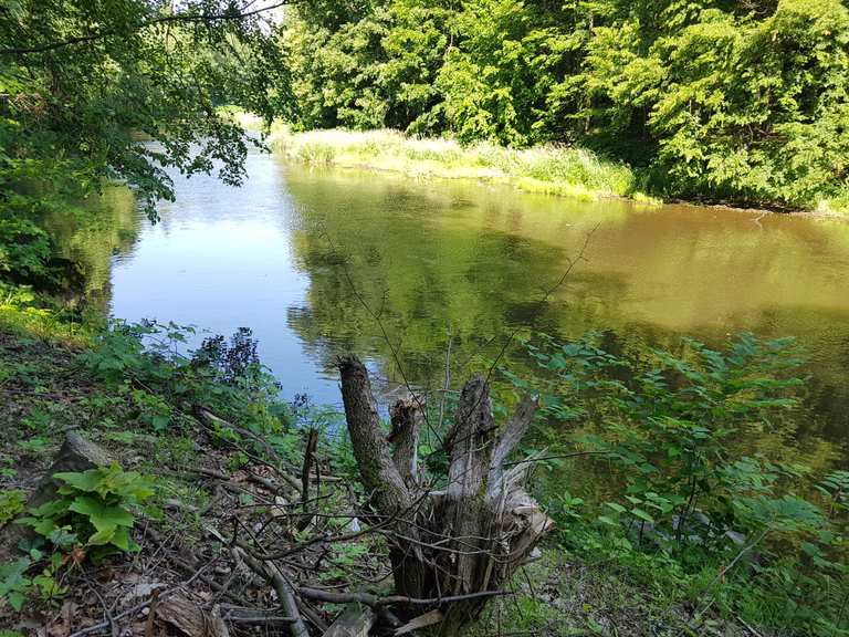 Mündung in die Mulde, Rastplatz wandelroutes en hikes | Komoot
