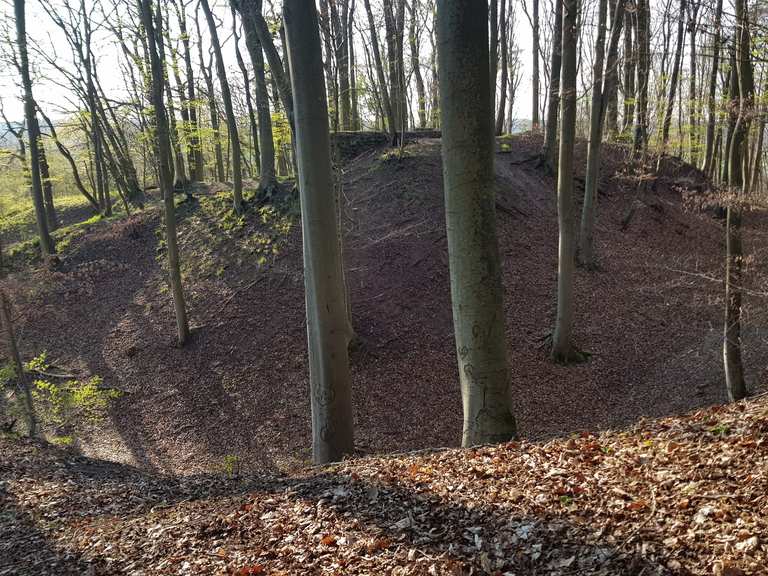 Burgruine Schauerberg: Mountainbike-Touren und -Trails | komoot