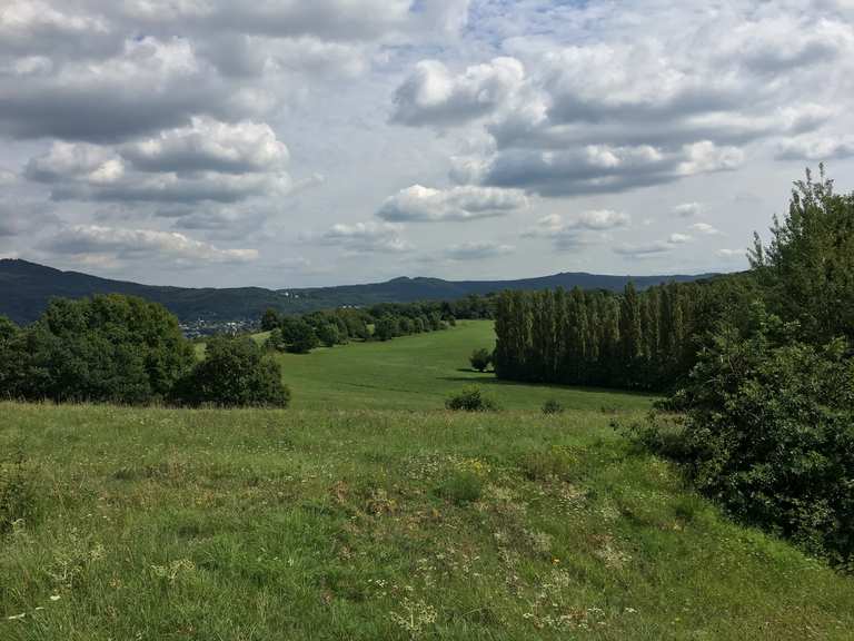 Lavasäule des Vulkans am Rodderberg: Wanderungen und Rundwege | komoot